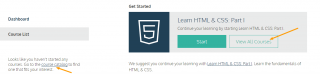 Codecademy Review - A Must Learn Coding Site for Beginners